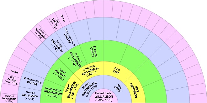 The Williamsons | The Brook Hill Family